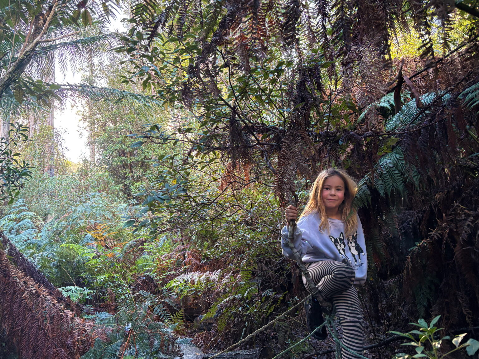 The Watchers – Forty South